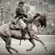 San Diego's First Giraffes - The History Guy